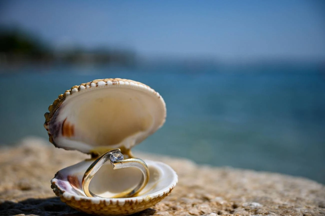 Andaman Tour Packages | Explore Beaches & Islands